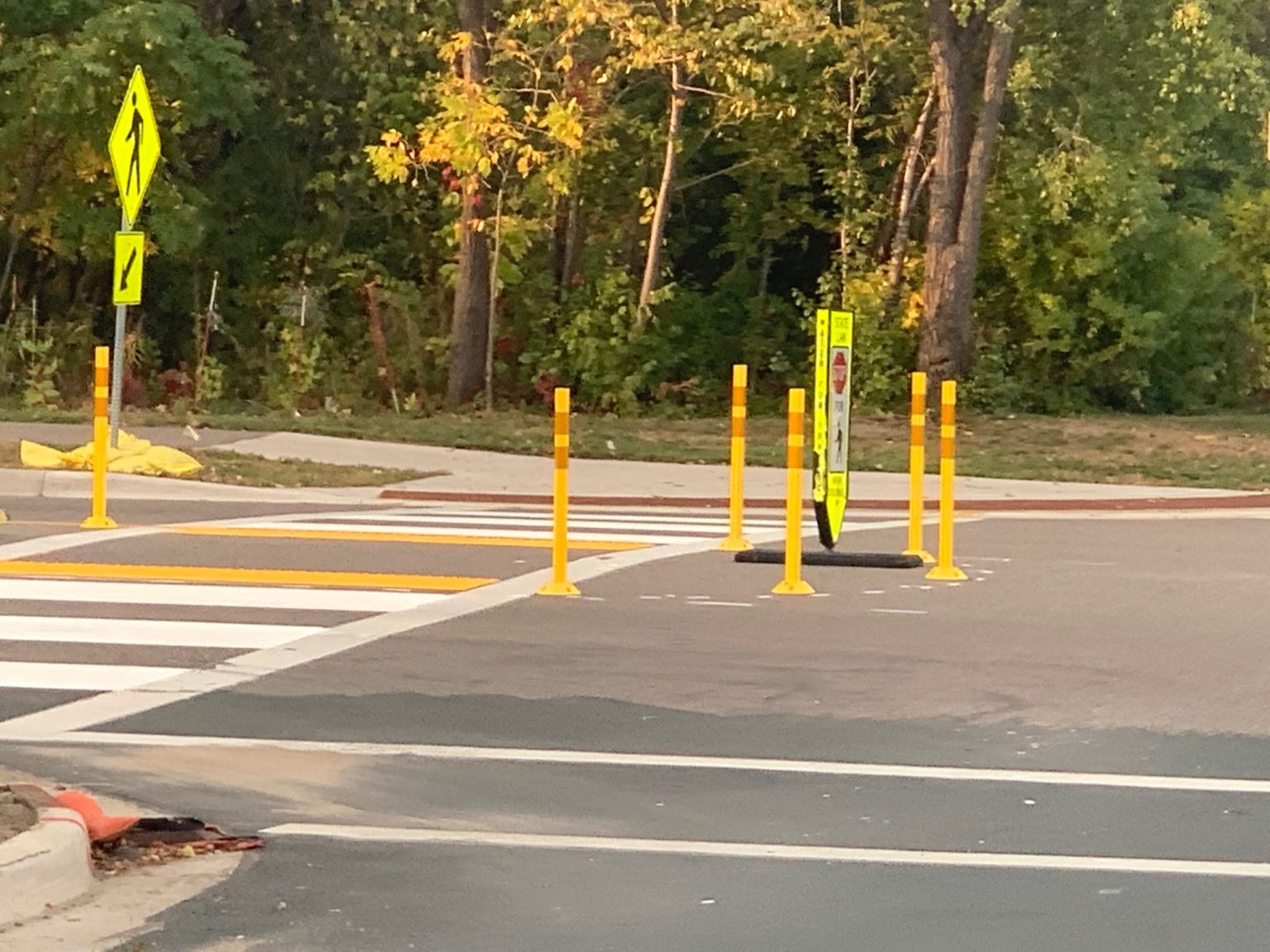 SRF Staff Shape Pedestrian Crossing Design Process to Deliver Right-Fit ...